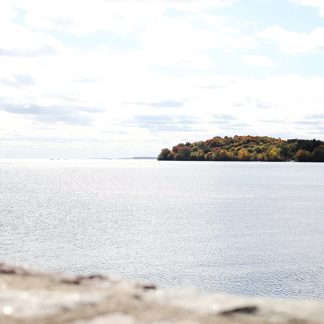 From the Depths: Insights from the Mille Lacs Lake Fall Fishing Report ...